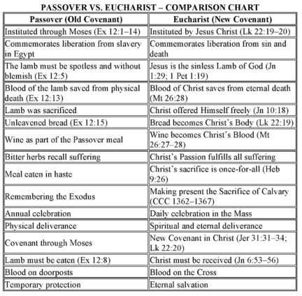 JESUS AND PASSOVER PREPARATION | Bible Reflection by Fr. Abraham Mutholath