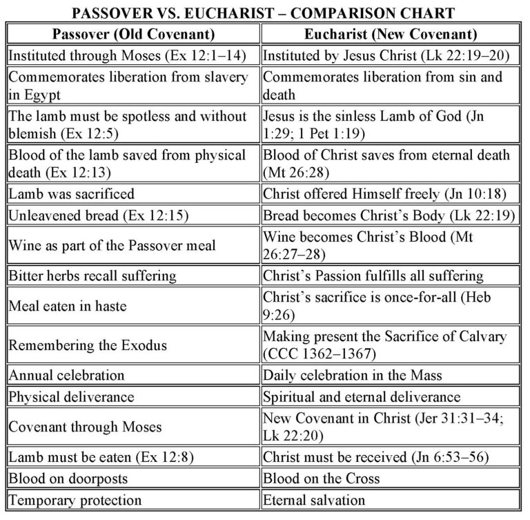 JESUS AND PASSOVER PREPARATION | Bible Reflection by Fr. Abraham Mutholath